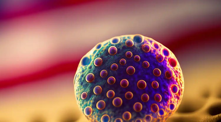 Winners Skill - Winners Skill